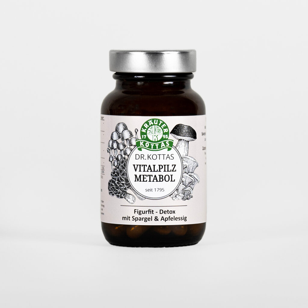 Vital Mushroom Metabol | KOTTAS Kräuterhaus Online-Shop
